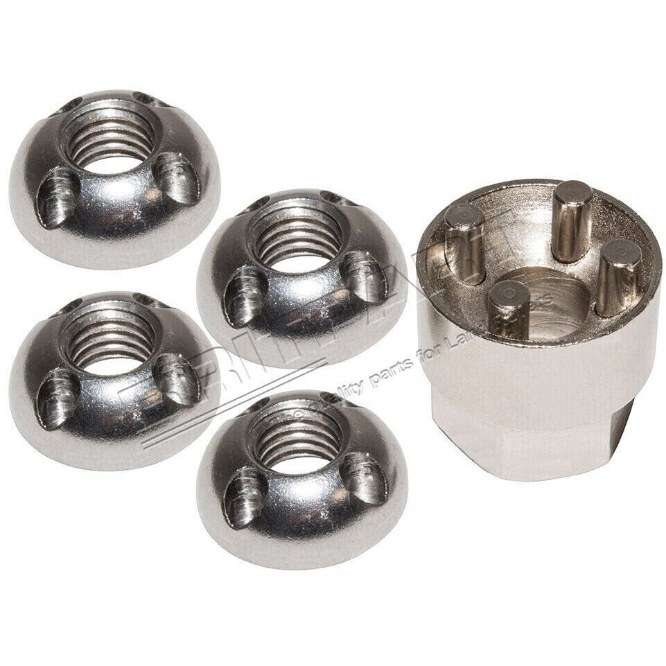 TAMPER PROOF M6 NUT SET – Lucky8 Off Road