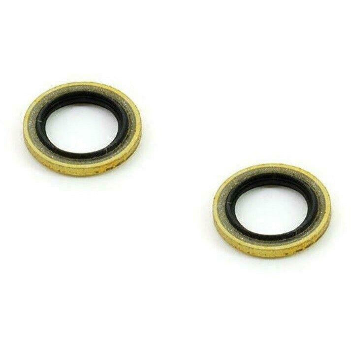 Genuine Cylinder Block Seal 16mm Set x2 – Lucky8 Off Road