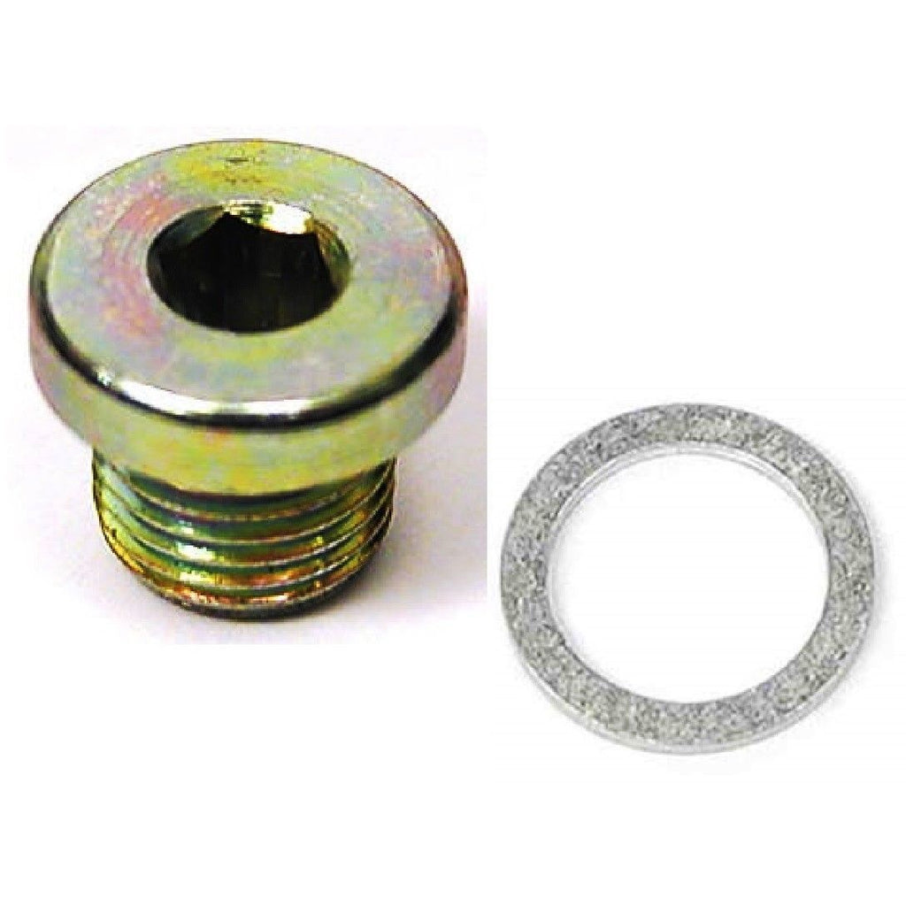 TRANSMISSION SUMP DRAIN PLUG & WASHER – Lucky8 Off Road