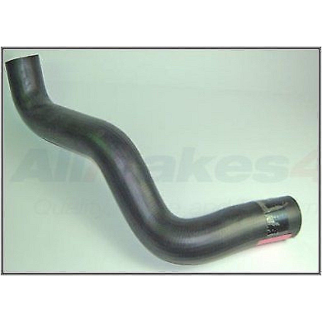 Lower Radiator Hose V8 – Lucky8 Off Road
